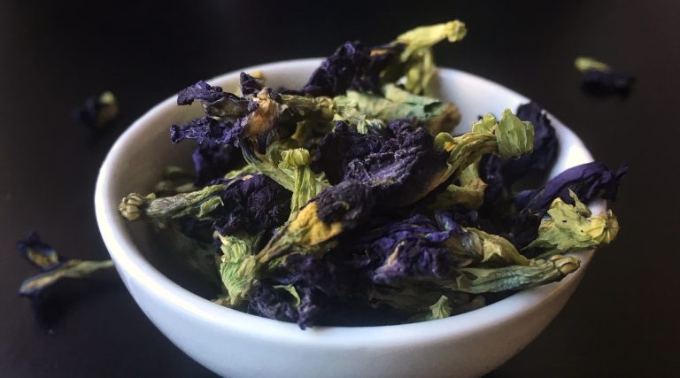 Butterfly Pea Flower Tea, la tisana blu che sta affascinando il mondo ...